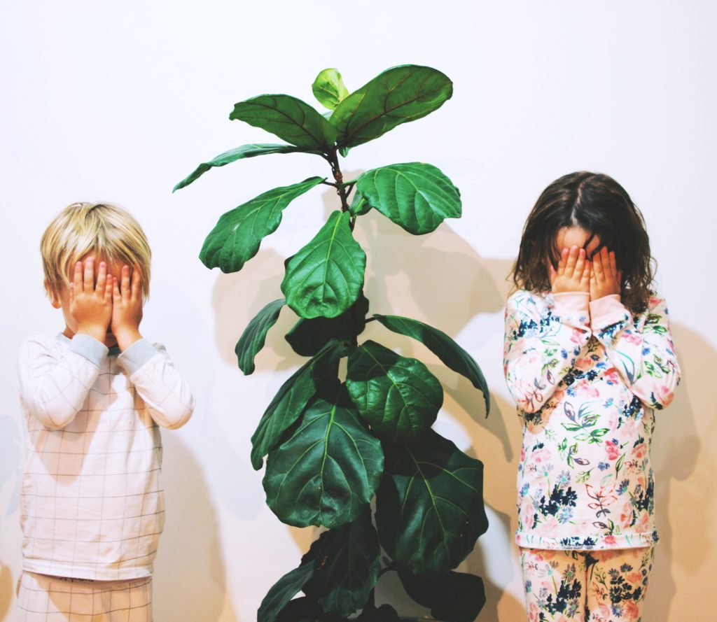 Processed with VSCO with f1 preset - Patchwork Cactus